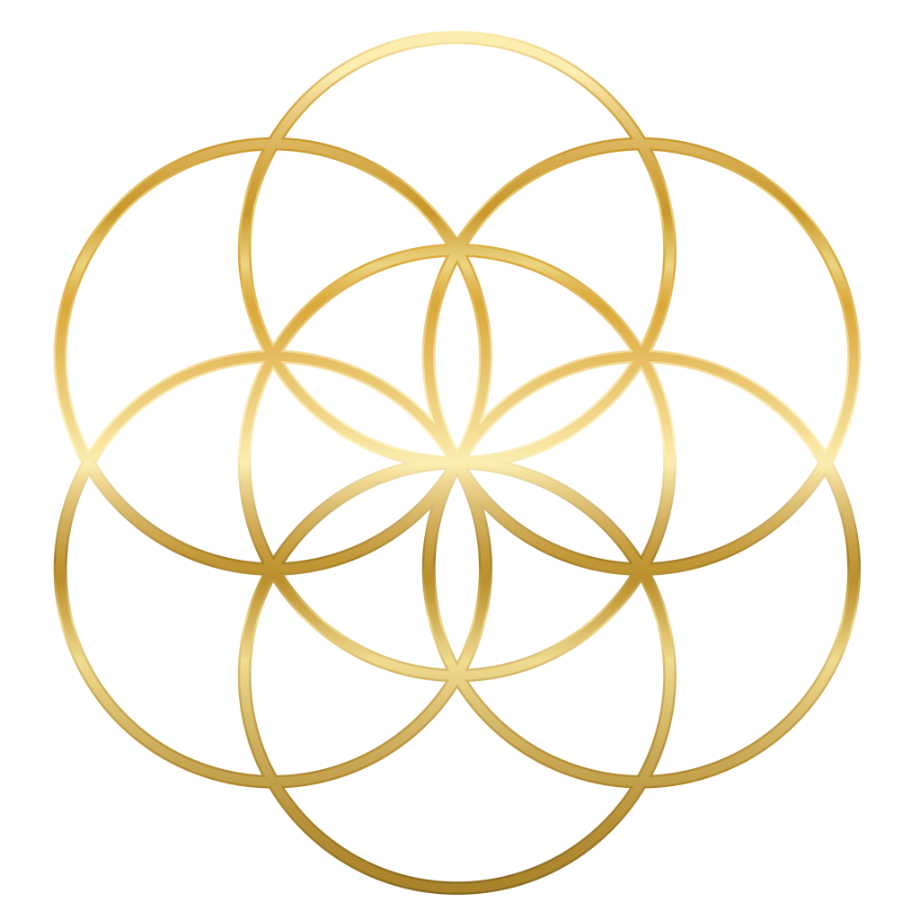 Classes – Activate Your Life